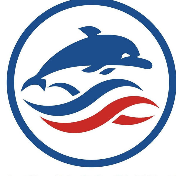 Flipsky Motor – HighFly - WaterSports